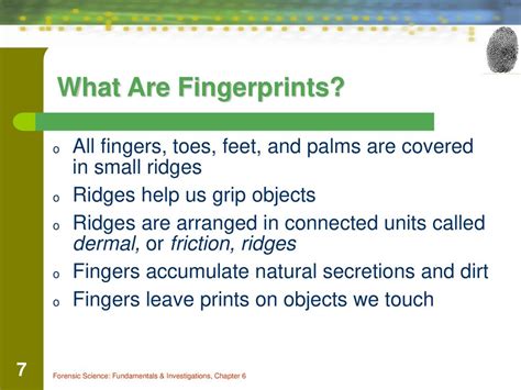 Fingerprints History and Anatomy - ppt download