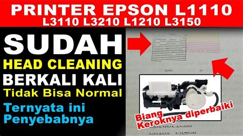 Cara Memperbaiki Printer Epson L1110 Hasil Print Cetak Bergaris Tidak
