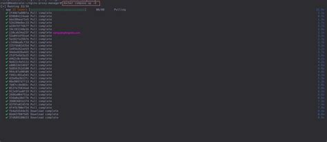 How To Run Nginx Proxy Manager In Docker Container Computingforgeeks