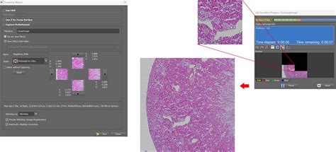 Nis Elements Basic Research Nis Elements Software Microscope