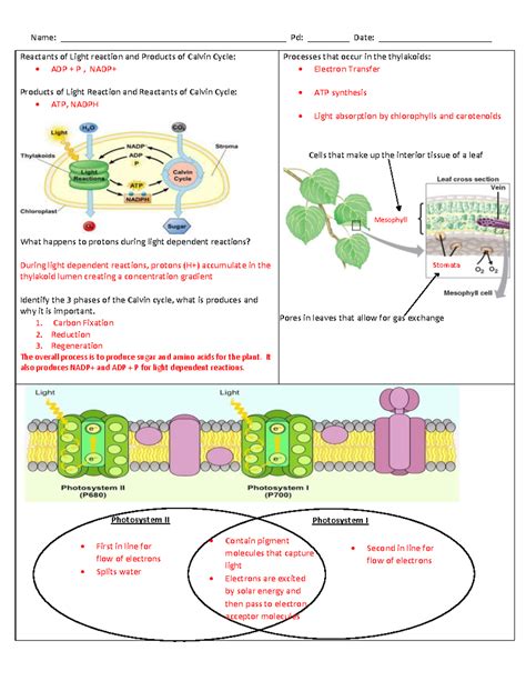 Unit 3 Quiz 2 Review Key Name Pd