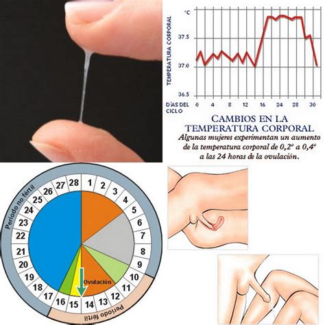Anticoncepción Métodos Naturales