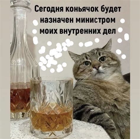 Пин от пользователя Svetlana Shostak на доске Юмор | Смешные таблички ...