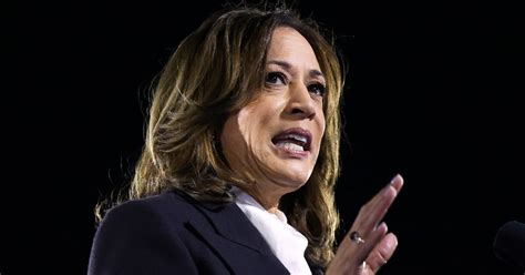 Kamala Harris' Ellipse speech pushed back against 'Trump's division'