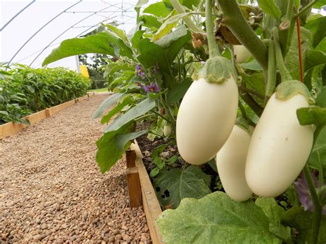 Robin Woolgar Photography Robin Woolgar Photography