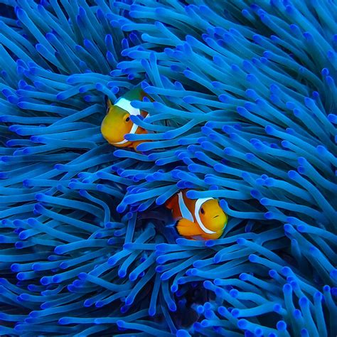 Huawei Mate Pro Stock Wallpaper