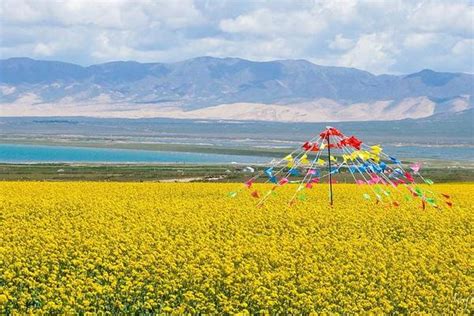 2024青海湖油菜花什么季节开 最佳观赏地点在哪里 旅泊网