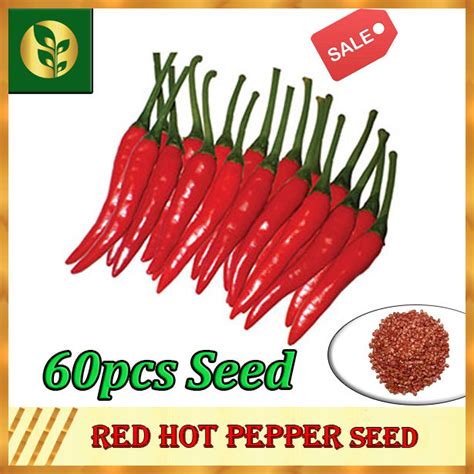 Red Hot Pepper Seeds Chili Seeds Sili Seeds Siling Pula Siling