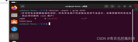 Open Vswitch的基本操作（详细教程）openvswitch Csdn博客