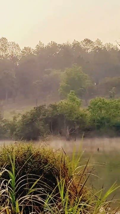 ចំការតែ គីរីរម្យ Youtube