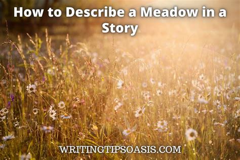 How To Describe A Meadow In A Story Writing Tips Oasis A Website