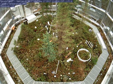 Phenocams Have An Eye On The Seasons At The Spruce Ecosystem Warming Experiment Research
