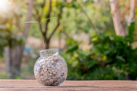 Premium Photo Planting Trees In Pots Concept Of Love Plants Love