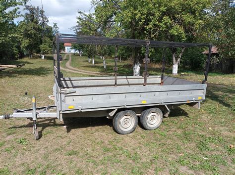 Remorca Westfalia 2000 Kg Cu Prelata Hilib • Olx Ro