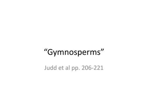 Ppt “gymnosperms” Powerpoint Presentation Free Download Id2160537