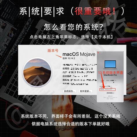 淘宝主播网页版入口在哪里如何找到并使用它 淘宝 淘宝百科网