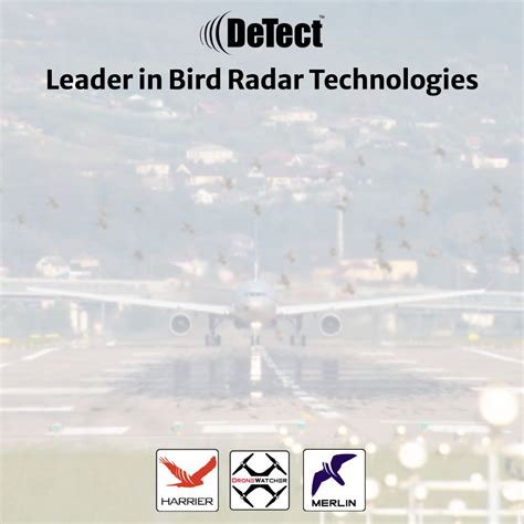 Birdstrike Birdradar Radartech Detectinc Flightsafety Detect Inc