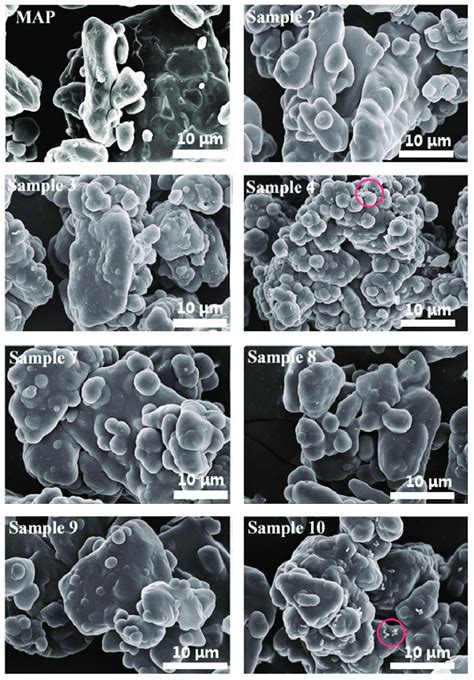 Effect Of Operating Conditions On The Mcmap Micromorphology Red