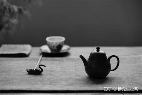 杨先生扯茶：一，何为茶？ 知乎