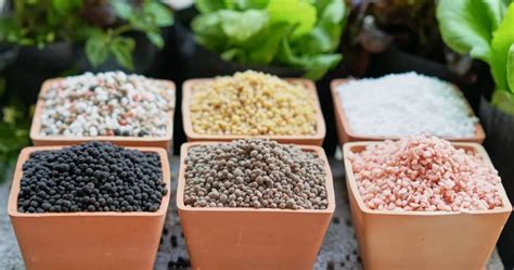 អត្ថប្រយោជន៍របស់ជីគីមី នាទីកសិកម្ម Kaksekam Time