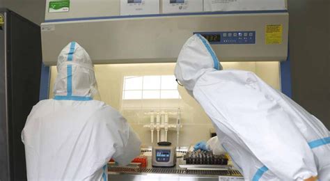 Oms Detiene Ensayos Con Hidroxicloroquina Contra Covid 19 Sitename