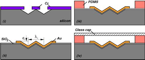 Integrated Loc Sers Fabrication Steps Download Scientific Diagram