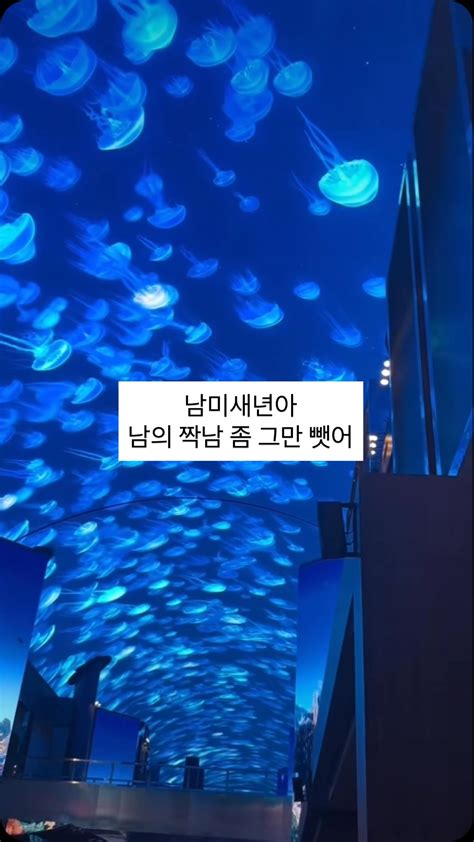 계란말이를먹은건걔란말이야 왜 하필 내 친구야 왜ㅋㅋ 친구 우정 실제 친구관계 삼각관계 사랑 Fyp 추천 짝사랑 어장 썸 외사랑 짝녀 짝남