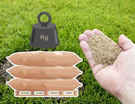 Grass Seed Calculator How Much Seed Do I Need