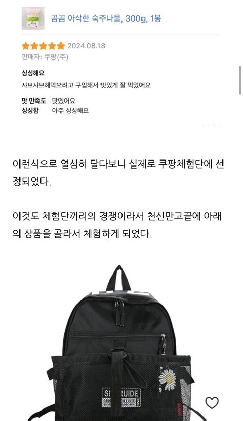 쿠팡체험단으로 내집마련 꿈꾸는 블로거 인스티즈instiz 이슈 카테고리