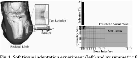 Figure 1 From Nonlinear Elastic Material Property Estimation Of Lower