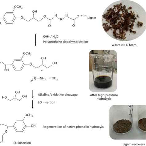 Chemical Recycling Of A Lignin Based Non Isocyanate Polyurethane Foam Request Pdf