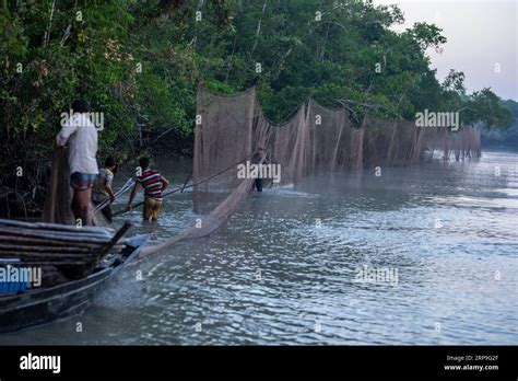 Sundarbans Bangladesh Fishermen In Sundarbans A Unesco World