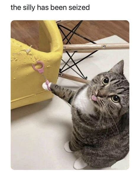 Can Someone Draw This As Niko Roneshot