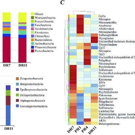 Composition Of The Microbial Communities In The Four Samples A The