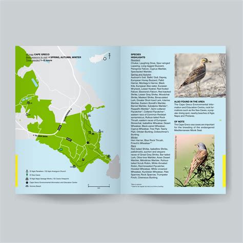 Birdwatching In Cyprus Birdlife Cyprus