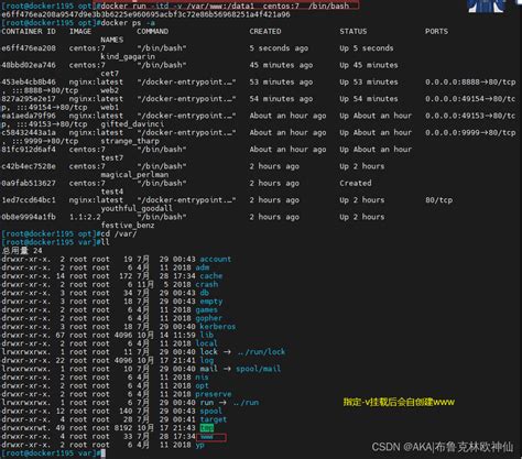 docker容器 数据卷和数据卷容器 docker 是一个项目一个数据卷 还是 csdn博客