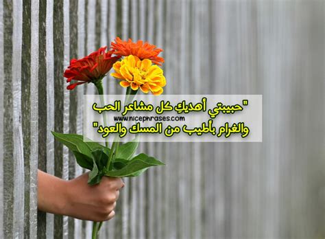 ابيات شعر عن الحب والغرام عبارات جميلة