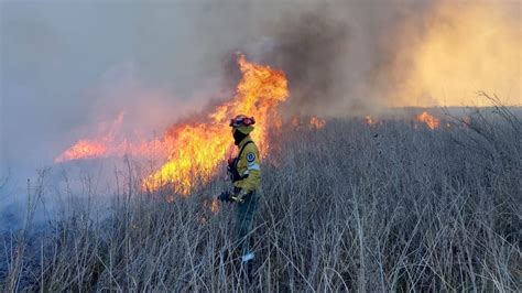 Un Video Prueba Que Los Incendios En El Delta Del Paraná Fueron