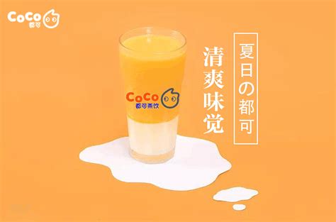 「coco奶茶加盟」coco都可官網加盟費是多少？開店成本合理嗎？ 壹讀