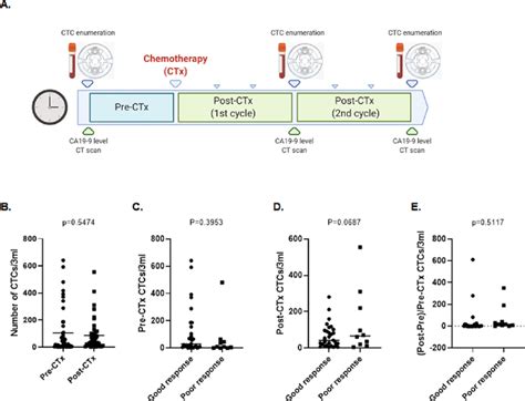 Evaluation Of Ctc Counts In Pdac Patients With Chemotherapy A Ctcs