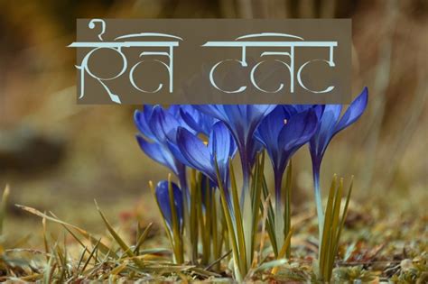 Raj Classic Font Comments