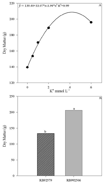 Dry Matter Production Of Sugarcane Plants As A Function Of Increasing K Download Scientific