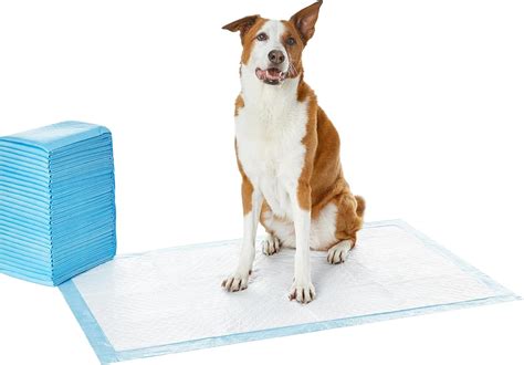 Amazon Basics Dog and Puppy Training Pads, Leakproof, 5-Layer Design ...