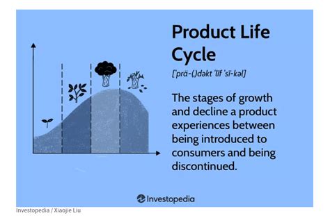 Why Product Lifecycle Marketing Is Essential For Saas Success