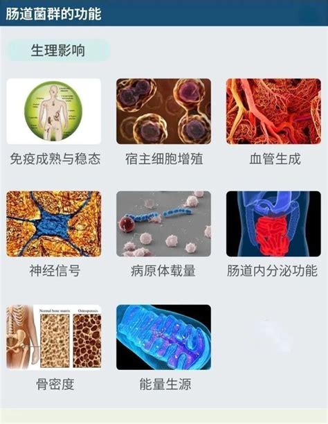 富玛特生物科普——在健康和患病状态下人的肠道微生物组