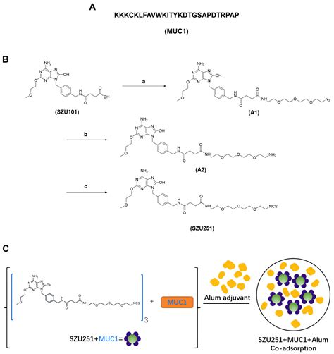 Breast Cancer Vaccine Containing A Novel Toll Like Receptor 7 Agonist