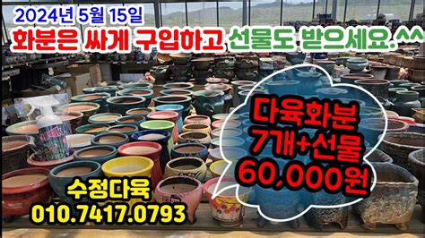 화분 판매 5월 15일 화분은 싸게 구입하고 선물도 받으세요 다육화분 7개선물 60000원 판매 수정다육 01074170793 전국최저가 판매 판매기간 5월