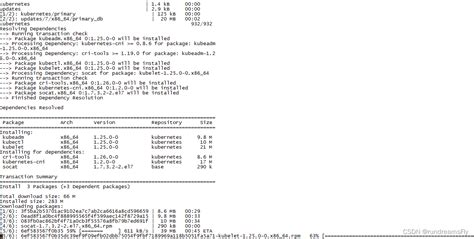 【云原生 K8s】kubeadm搭建安装k8s集群v125版本完整教程【docker、网络插件calico、中间层cri Docker