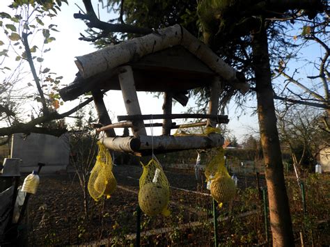 Dokarmianie ptaków zimą Love Natura kochamy to co naturalne