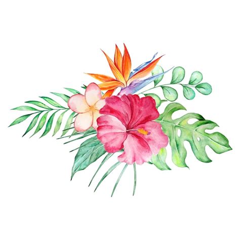 Premium Vector Watercolor Tropical Bouquet Of Hibiscus Leaves